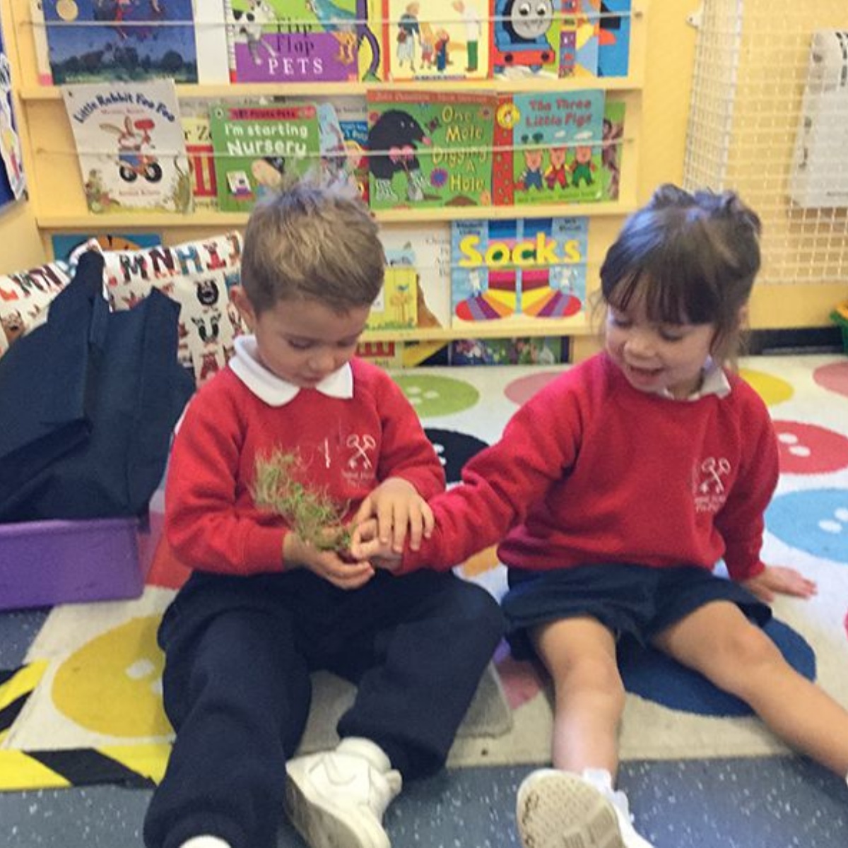 Russell House - Seeds and languages