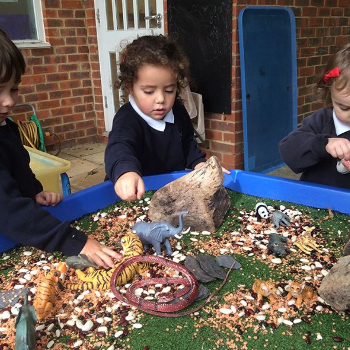 Russell House - Our wonderful world