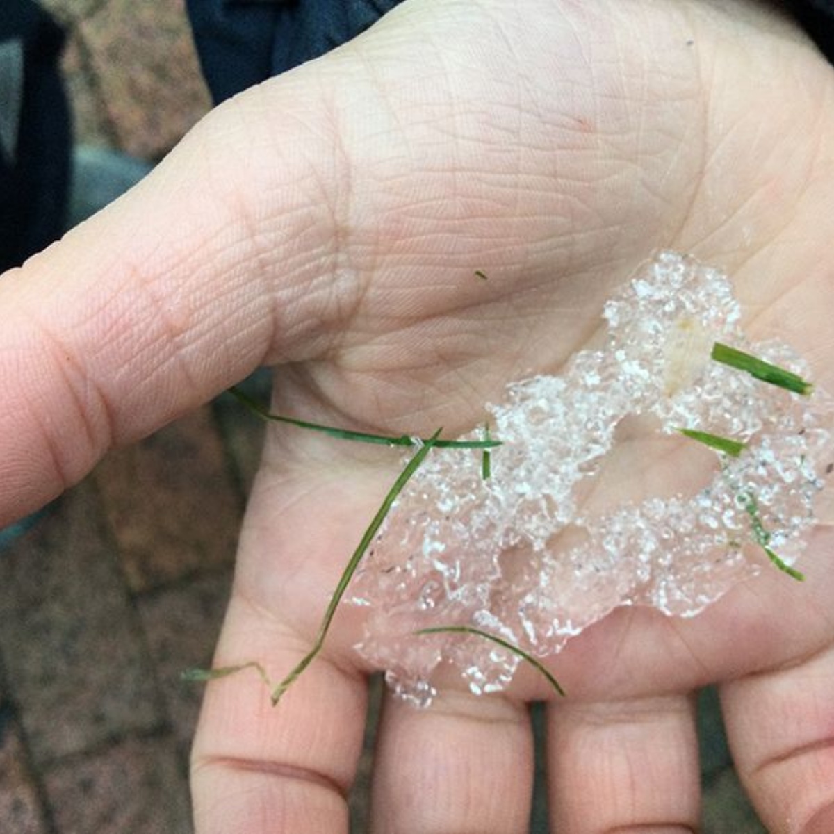 Russell House - Winter wonderland