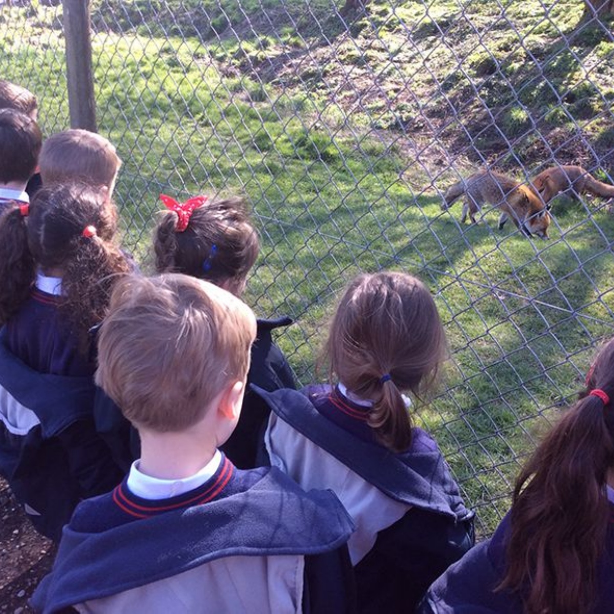 Russell House - Going wild