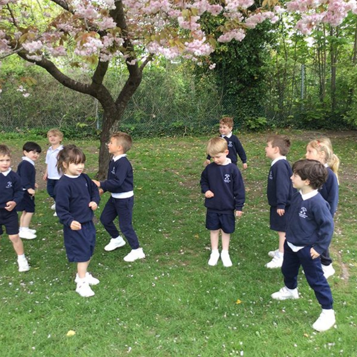 Russell House - From little acorns...