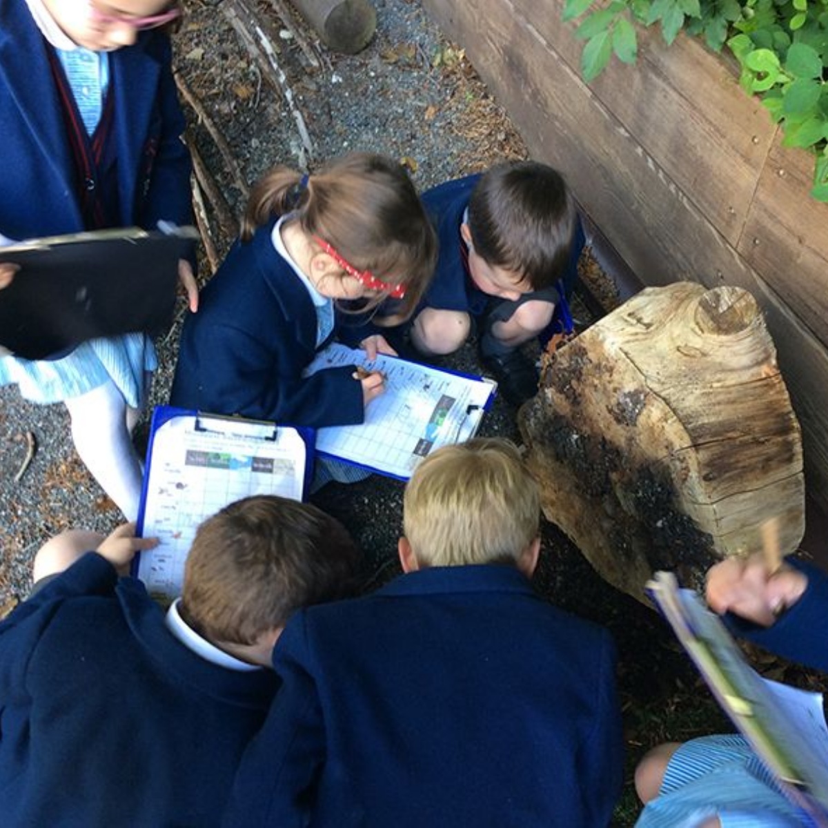 Russell House - Minibeast matters